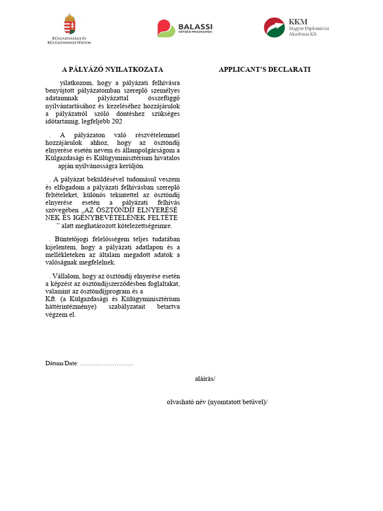 02 Nyilatkozat Statement Sumuni 2024 | PDF