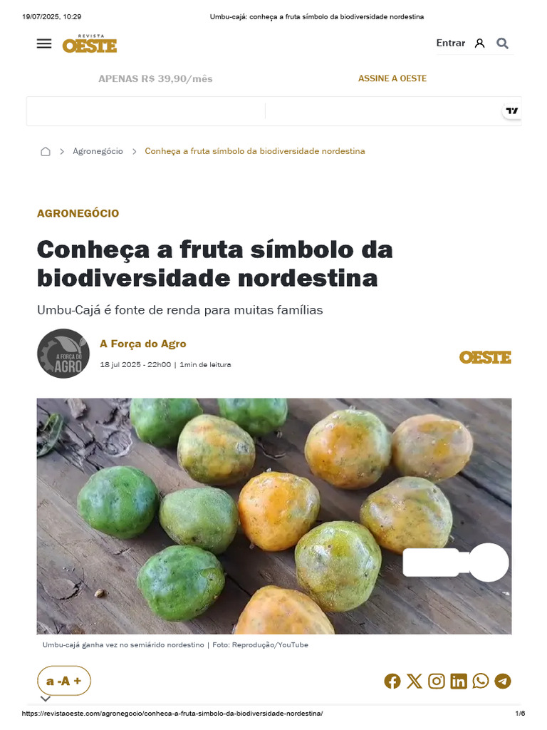 Umbu-Cajá: Fruta da Biodiversidade Nordestina | PDF