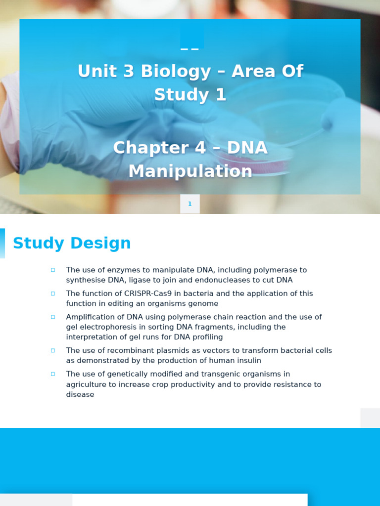 Chapter 4 DNA Manipulation 2025 | PDF | Dna | Primer (Molecular Biology)