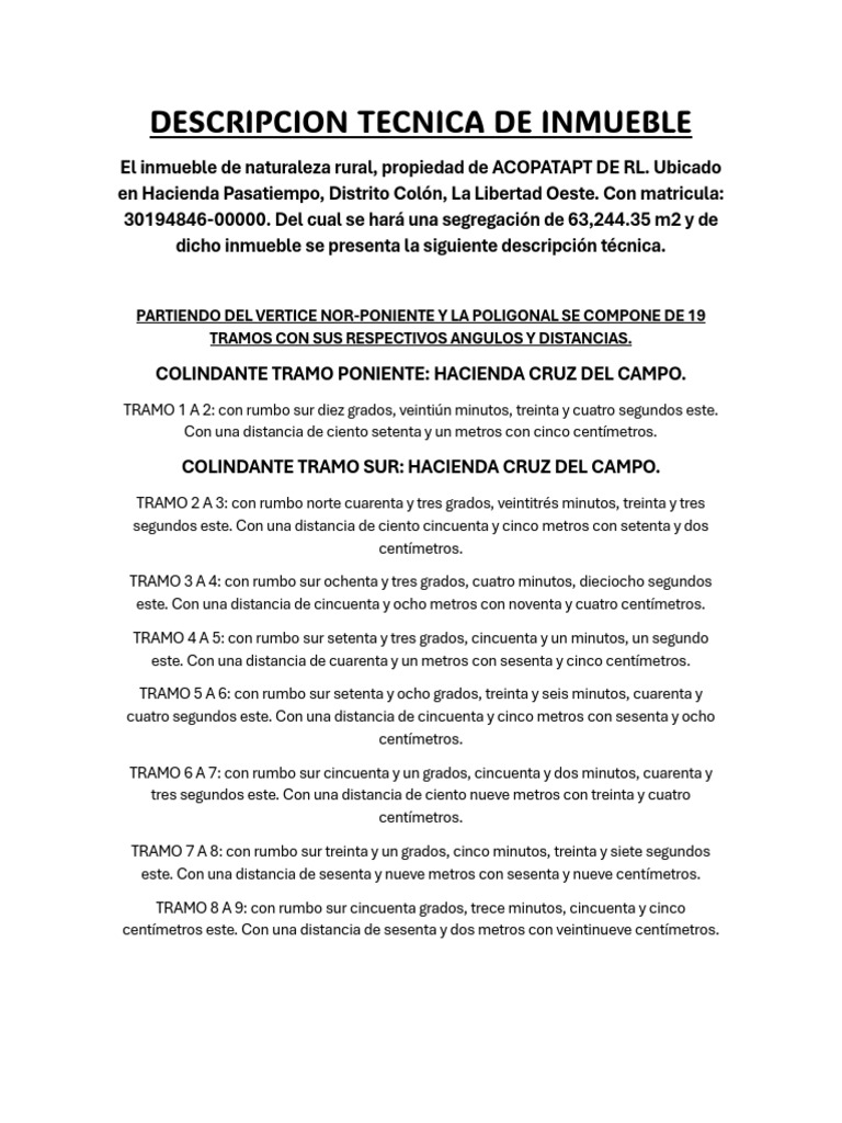 Descripcion Tecnica Pasatiempo | PDF