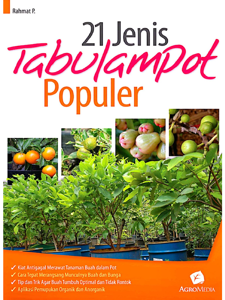 Budidaya Tabulampot | PDF