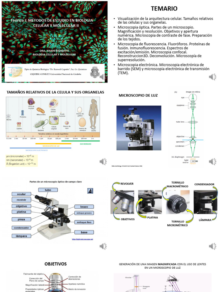 Presentación de PowerPoint | PDF | Microscopio | Resolución angular