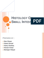 Adaptations of the Small Intestine for Absorption | PDF