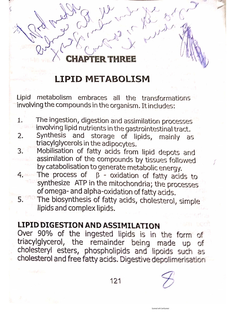 Chap. 3 Lipid Metab-2 | PDF
