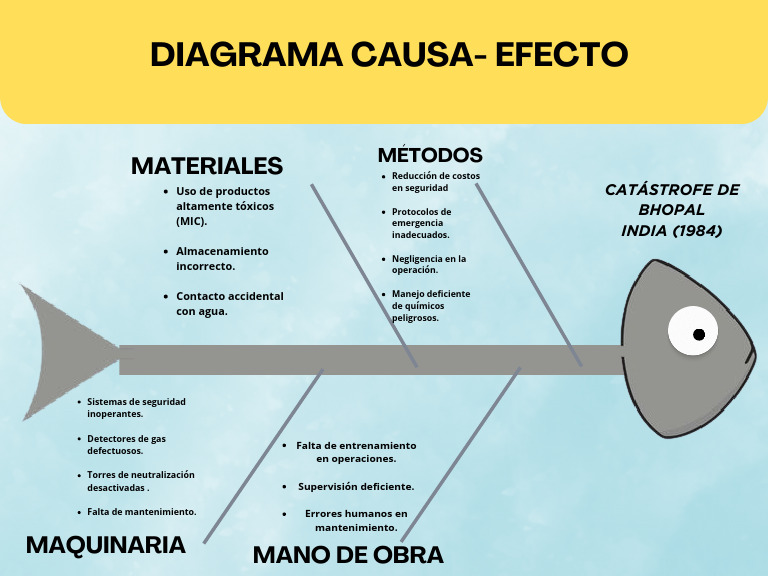 Diagrama Causa y Efecto | PDF