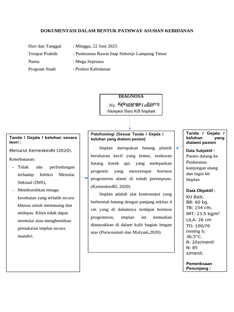 Dokumentasi Pathway KB Implan | PDF