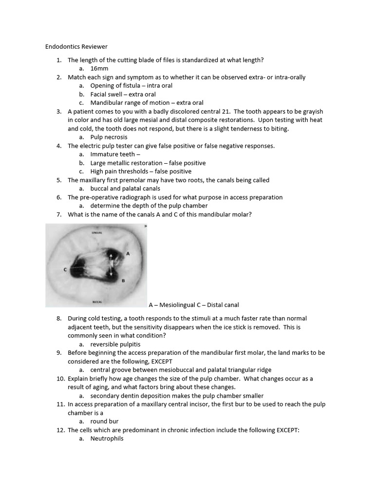 Finals Endodontics Reviewer (Questions) | PDF | Dental Anatomy | Mouth