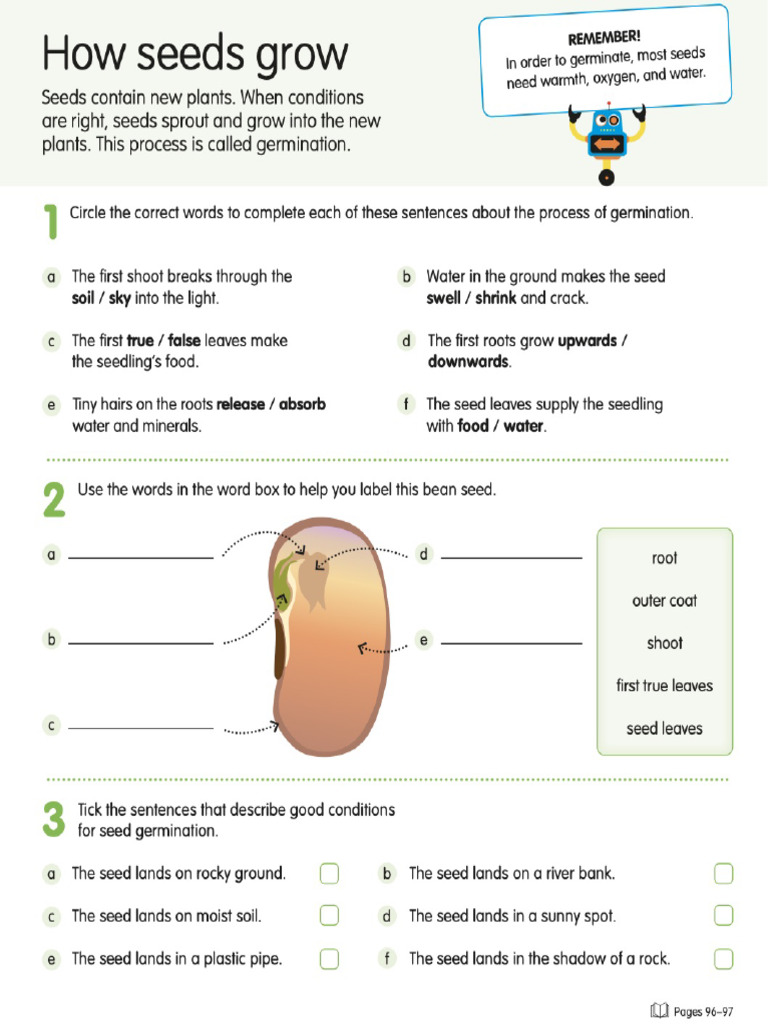 How Seeds Grow | PDF