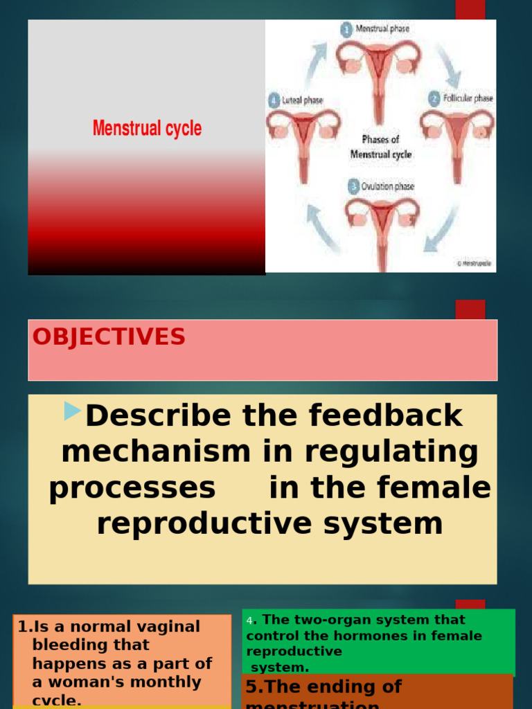 Understanding the Menstrual Cycle | PDF | Menstrual Cycle | Endocrine ...