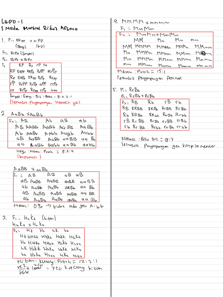 Soal HK Mendel | PDF