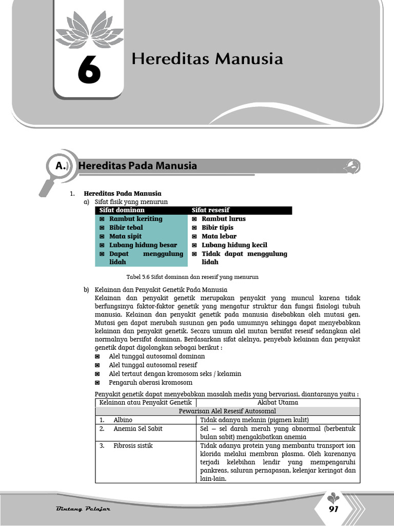Modul 12 SMA Biologi - Bab 6. Hereditas Manusia (Layout) TA 23-24 | PDF