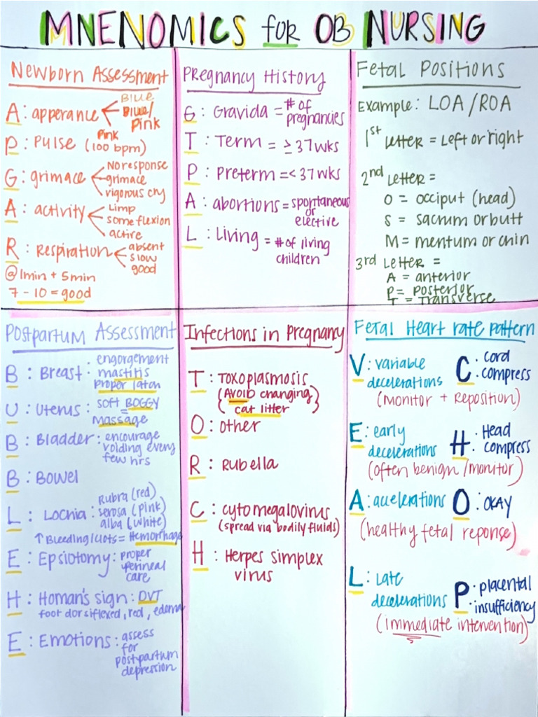 Mnemonic For OB Nursing | PDF