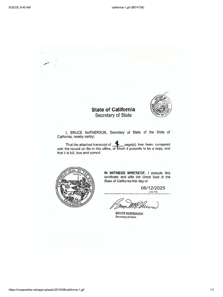 Proof of Court Filing | PDF