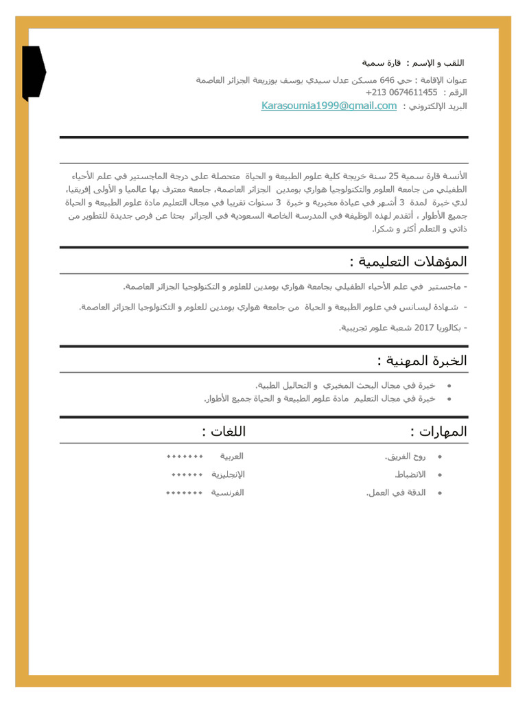 My CV Arab | PDF