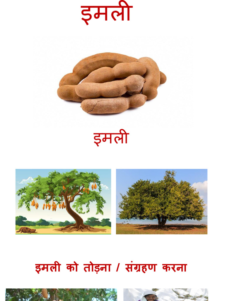On Imli | PDF
