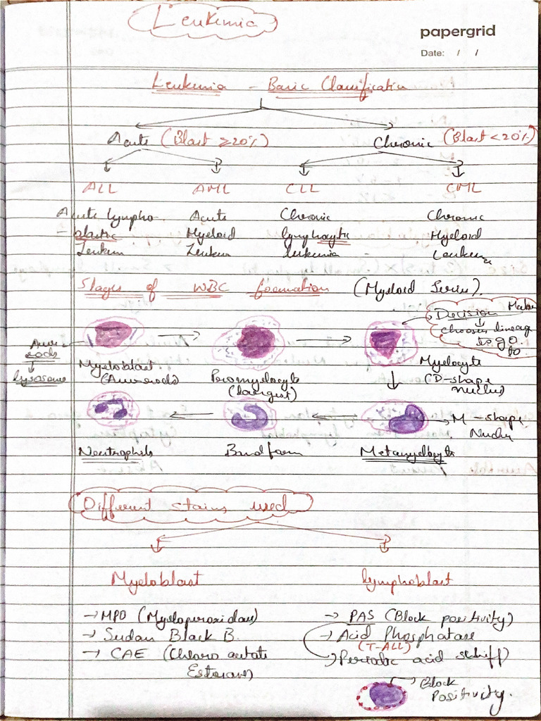 Leukemia | PDF