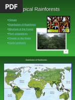 Layers of The Rainforest: Emergent | PDF