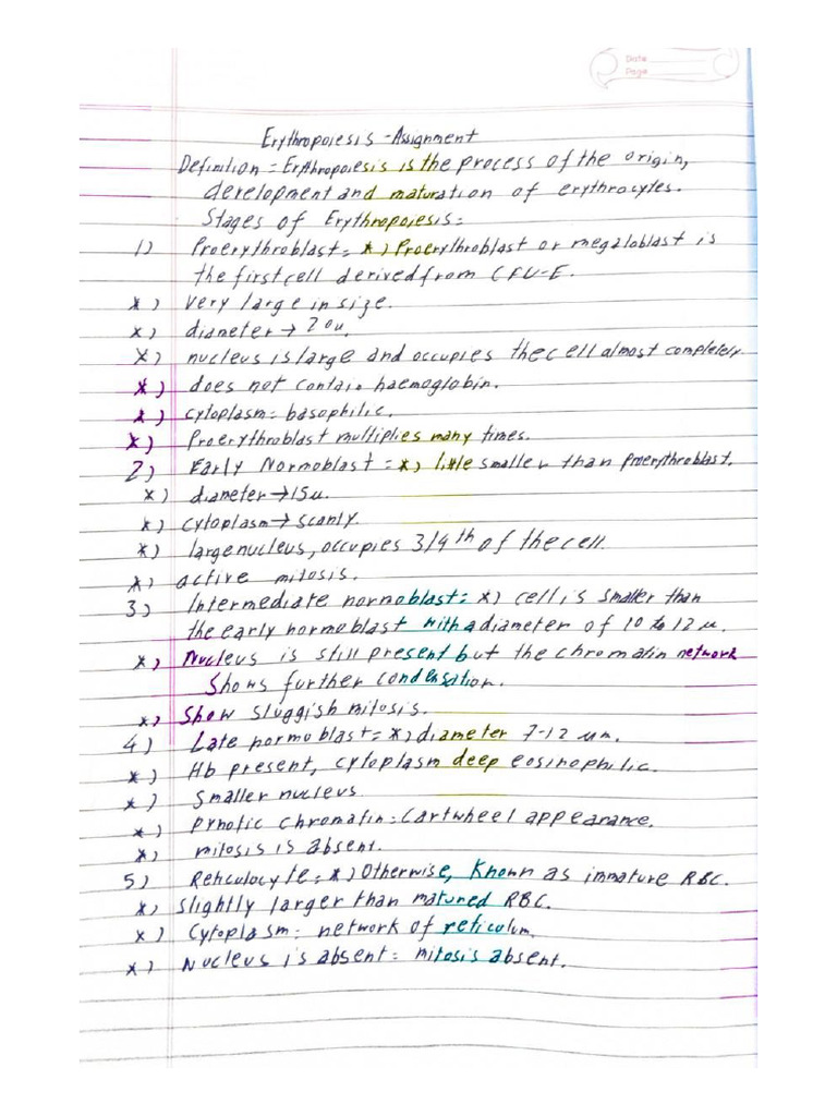 Physiology Assignment 1. | PDF