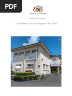 Mauritius All-in-One Travel Form Guide | PDF | Finance & Money Management