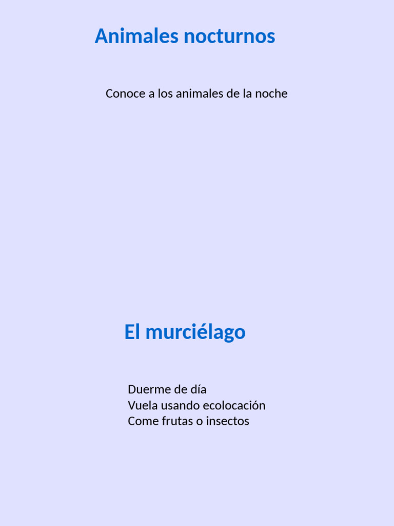 Animales Nocturnos | PDF