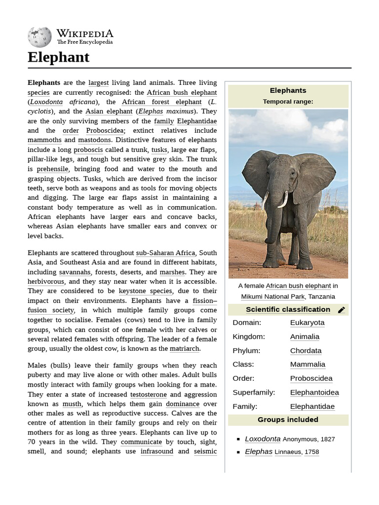 Elephants: Species, Behavior, and Habitat | PDF | Elephant