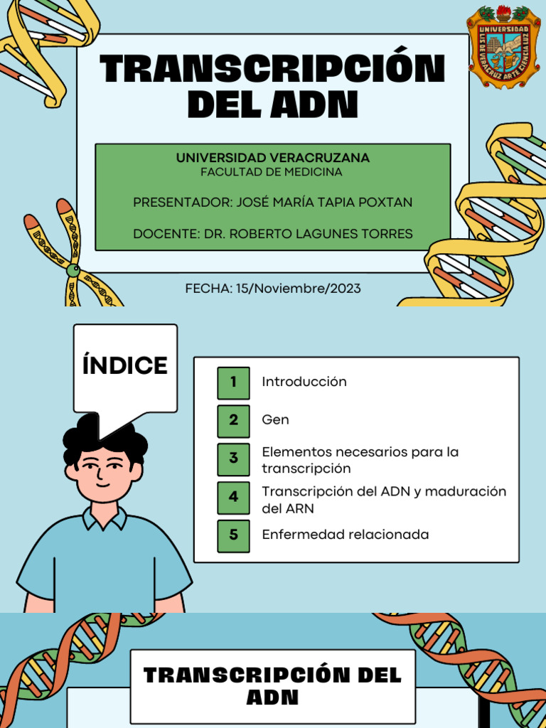 Transcripción de DNA | PDF | Rna | Adn