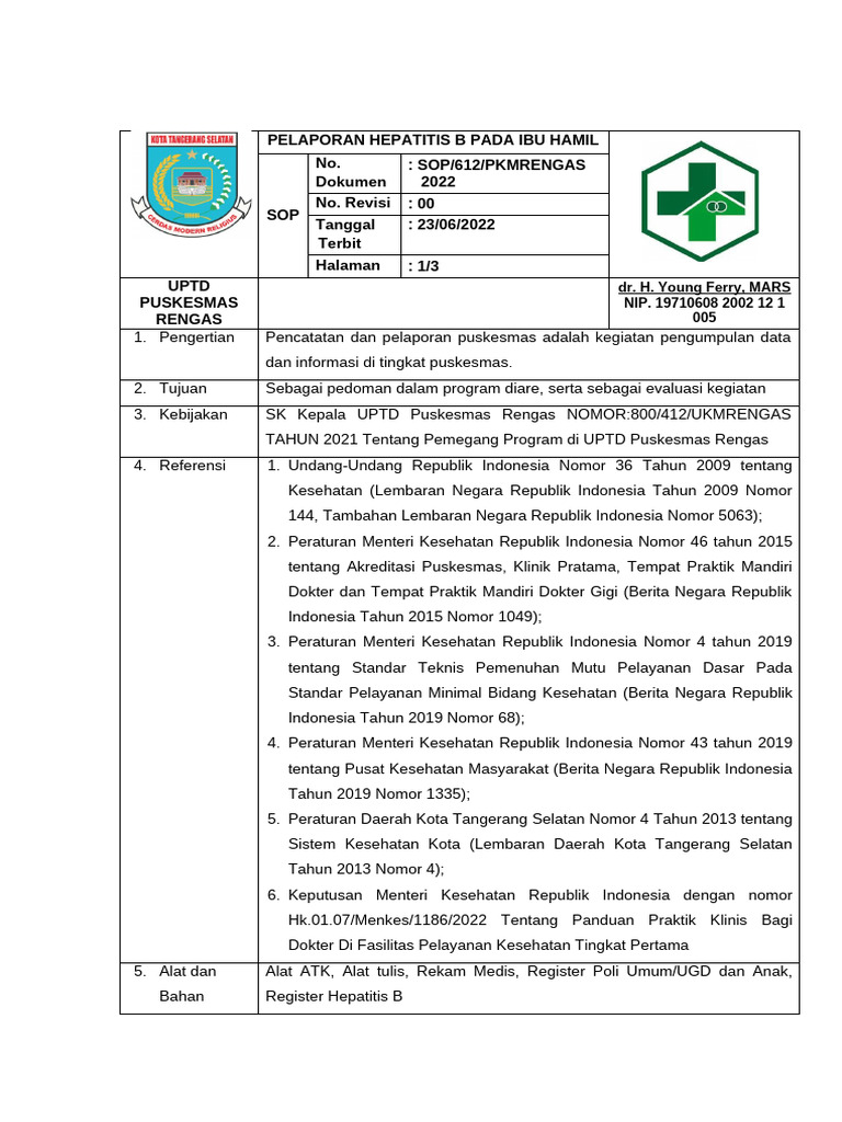 Sop Pelaporan Hepatitis Ibu Hamil | PDF