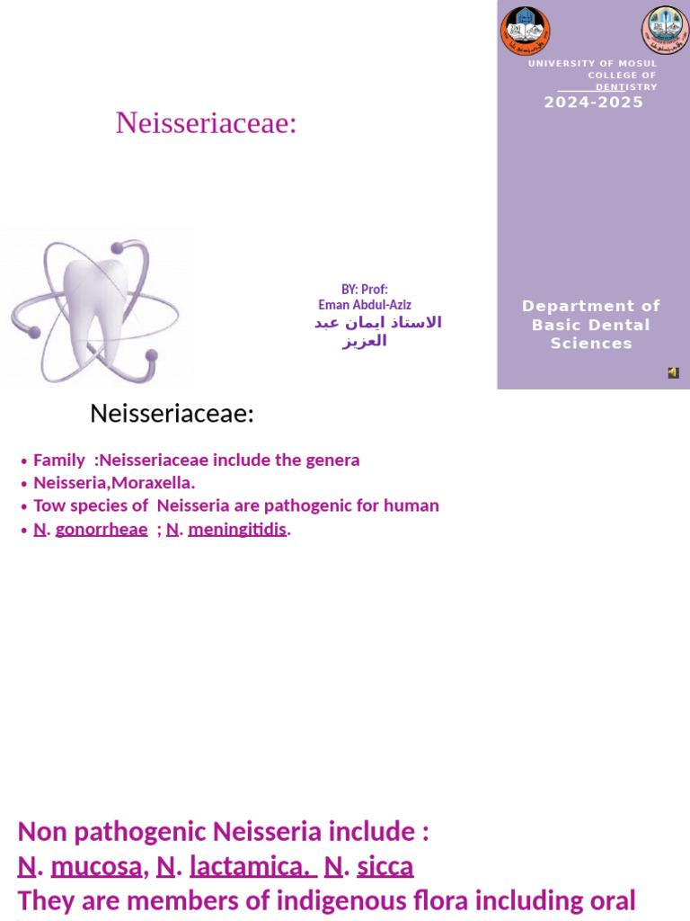 Overview of Neisseriaceae and Related Bacteria | PDF | Microbiology ...