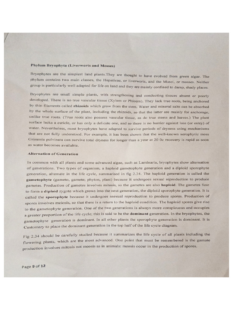 Bio 101 Phylum BTF | PDF