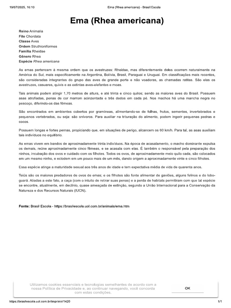 Ema (Rhea Americana | PDF