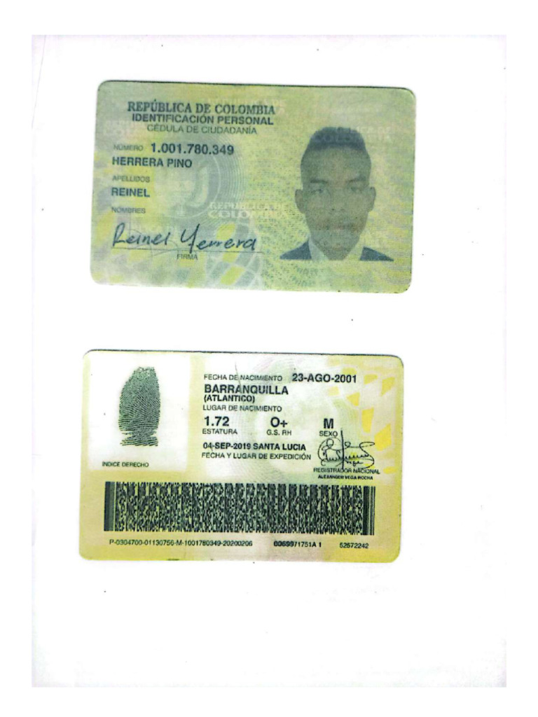 Hoja de Vida Reinel Herrera (1) (2) - Removed | PDF