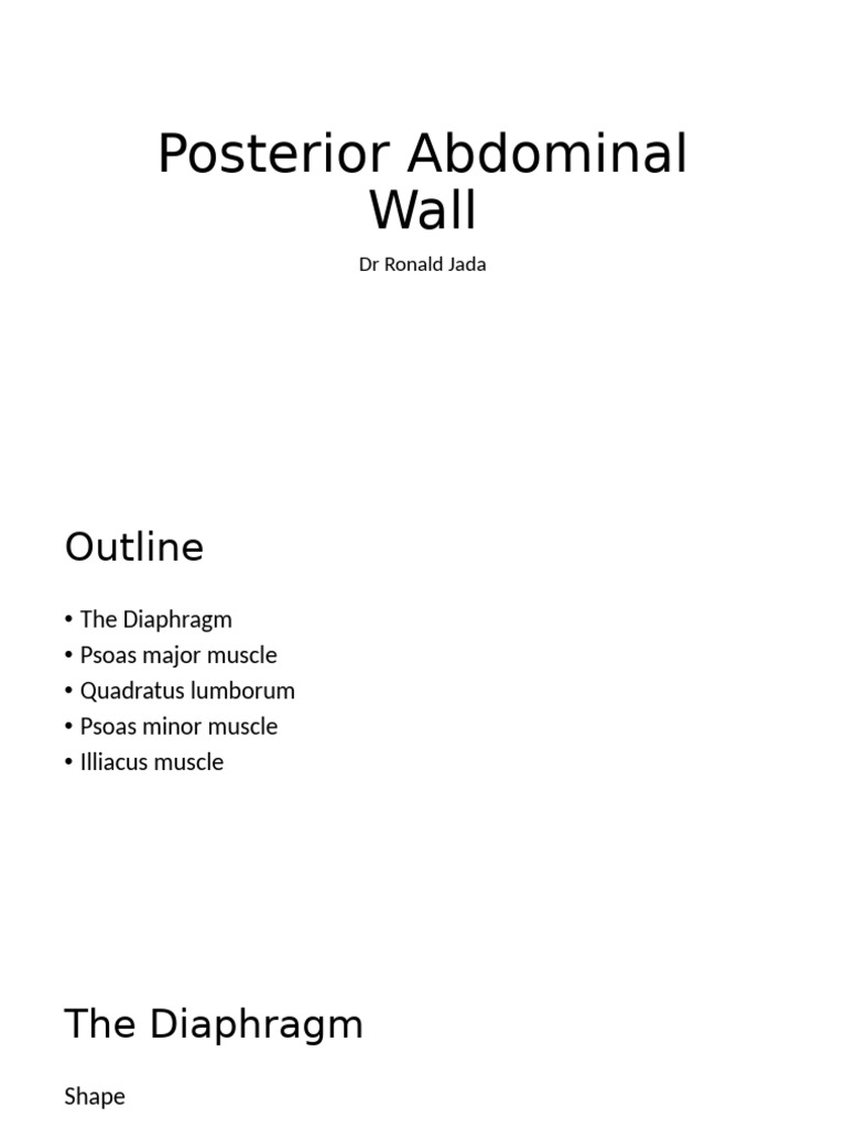 Posterior Abdominal Wall by DR Ronald Jada | PDF | Vertebral Column | Abdomen