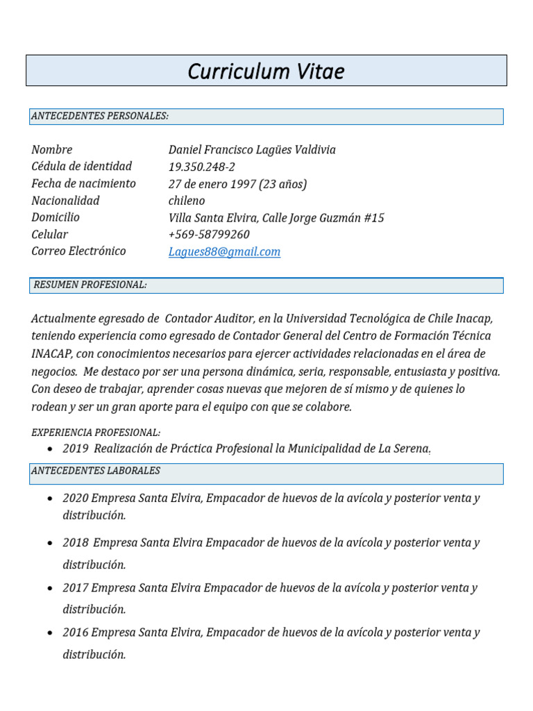 Curriculum Daniel | PDF | Contador