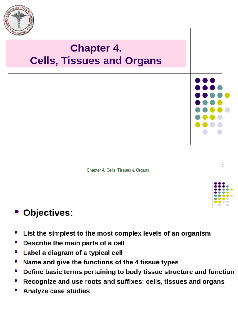 4 Cells, Tissues and Organs Summer 2020 | PDF | Endoplasmic Reticulum ...