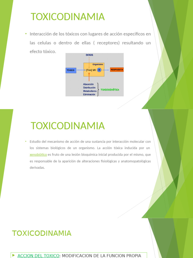 TOXICODINAMIA2022 | PDF | Toxicidad | Receptor (Bioquímica)