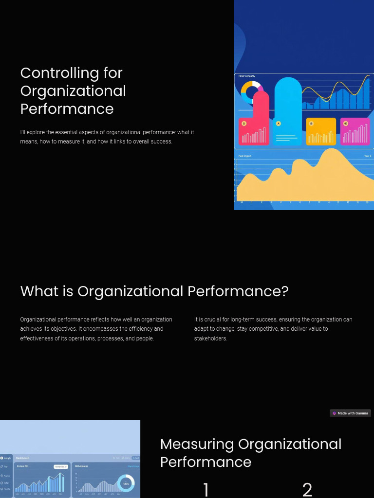 Controlling For Organizational Performance Compressed | PDF
