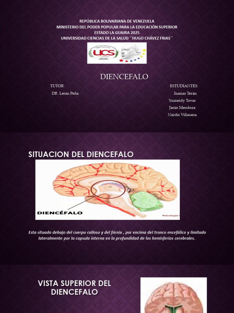 DIENCEFALO | PDF | Dolor | Hipotálamo