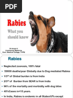 ERIG Infiltration | PDF | Injection (Medicine) | Rabies