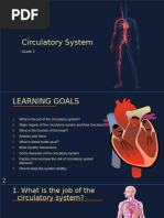 Human Circulatory System | PDF | Blood Vessel | Heart