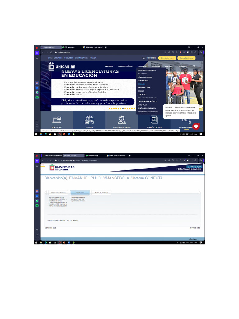 Pasos para Seleccionar Materia en Linea | PDF
