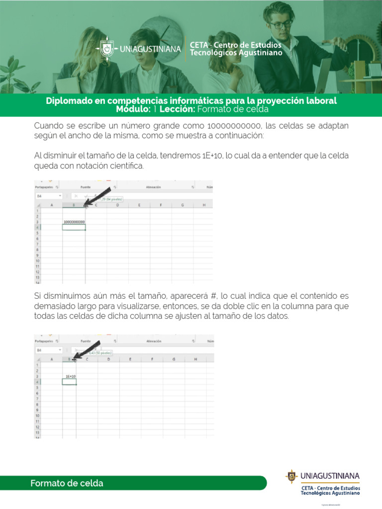 Formatos de celdas en Excel: Guía práctica | PDF | Porcentaje ...