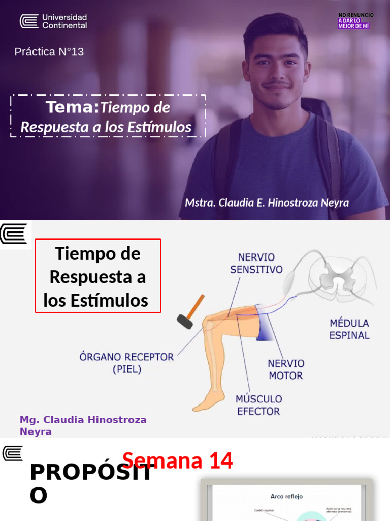 PPT-Práctica N°13 2025 | PDF