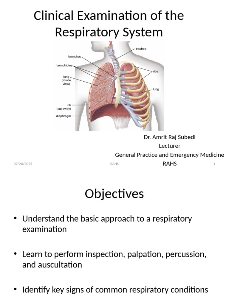 Clinical Respiratory Examination by DR Amrit | PDF | Lung | Respiratory ...