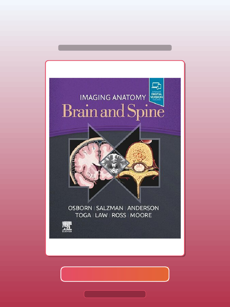 Imaging Anatomy Brain and Spine Anne G Osborn Official Test Bank | PDF ...