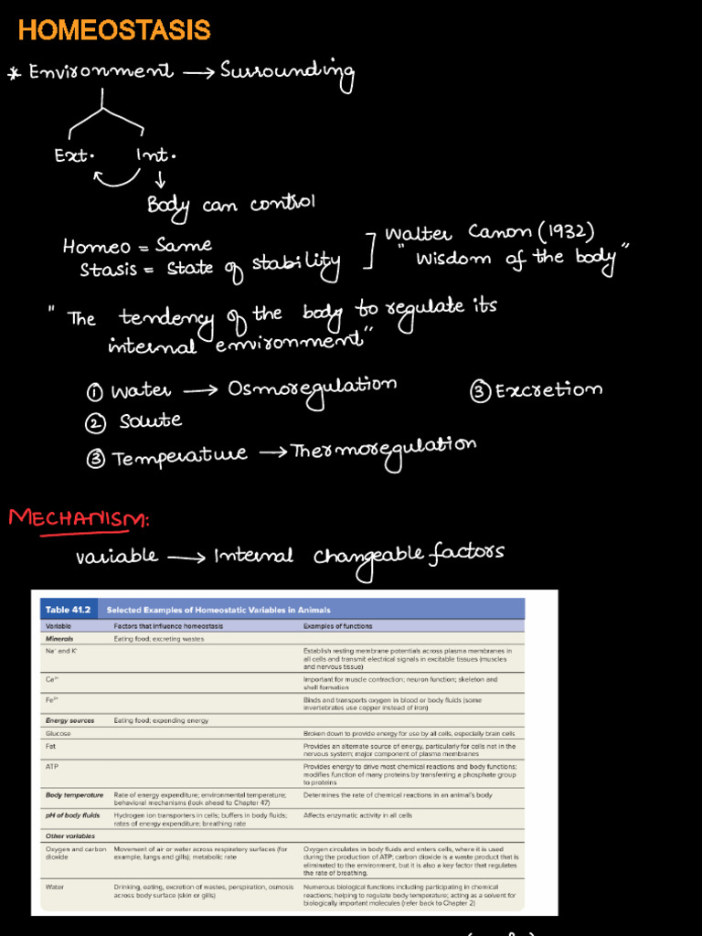 Homeostasis Notes | PDF