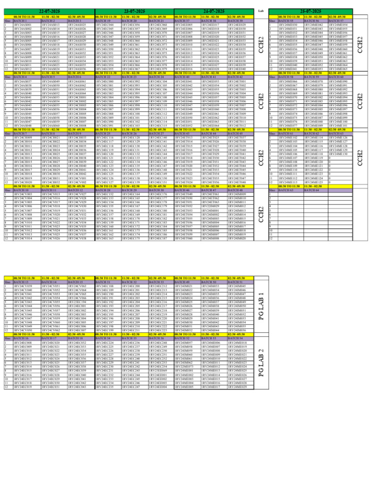Caeg Lab Group List For Lab Exam | PDF