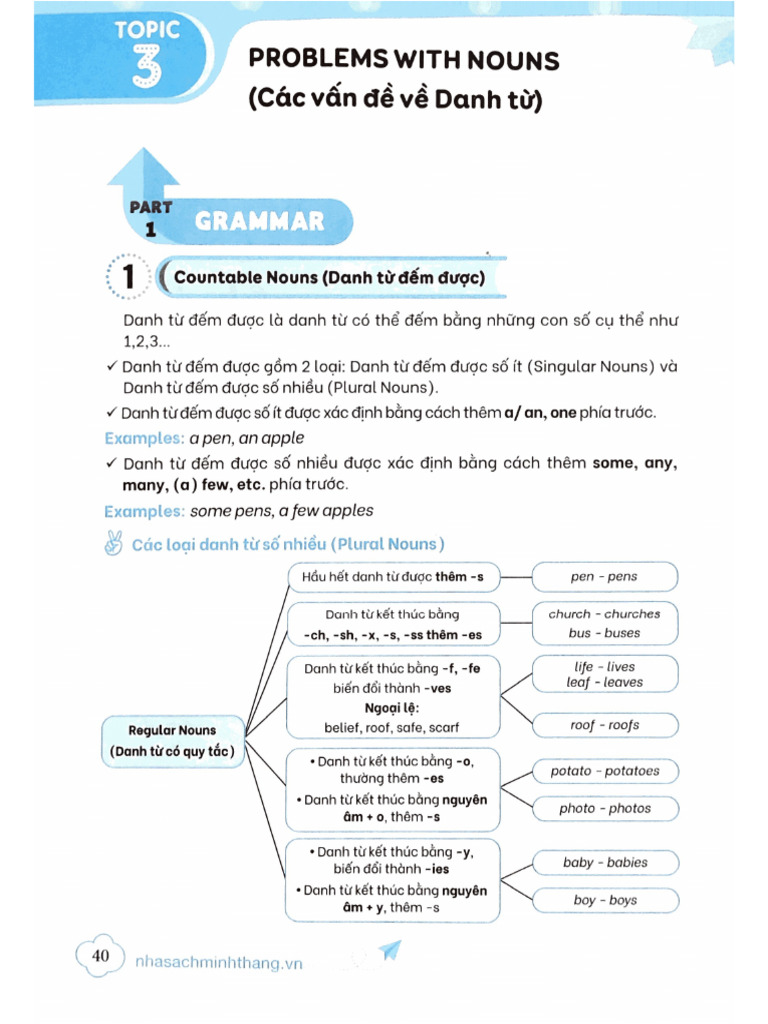 Topic 3 - Nouns G7 | PDF
