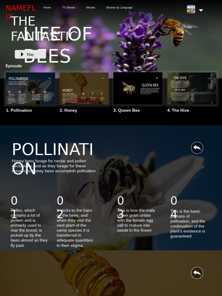 Honey Bee HP | PDF