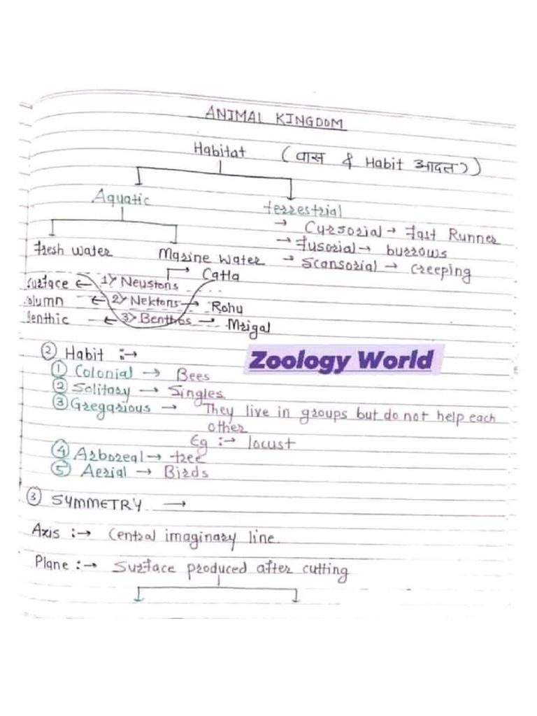 Animal Kingdom Classification | PDF