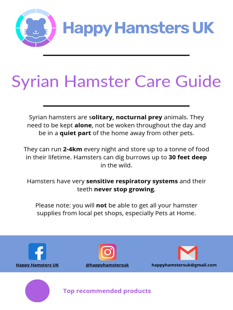 2024-25 Syrian Hamster Care Guide | PDF